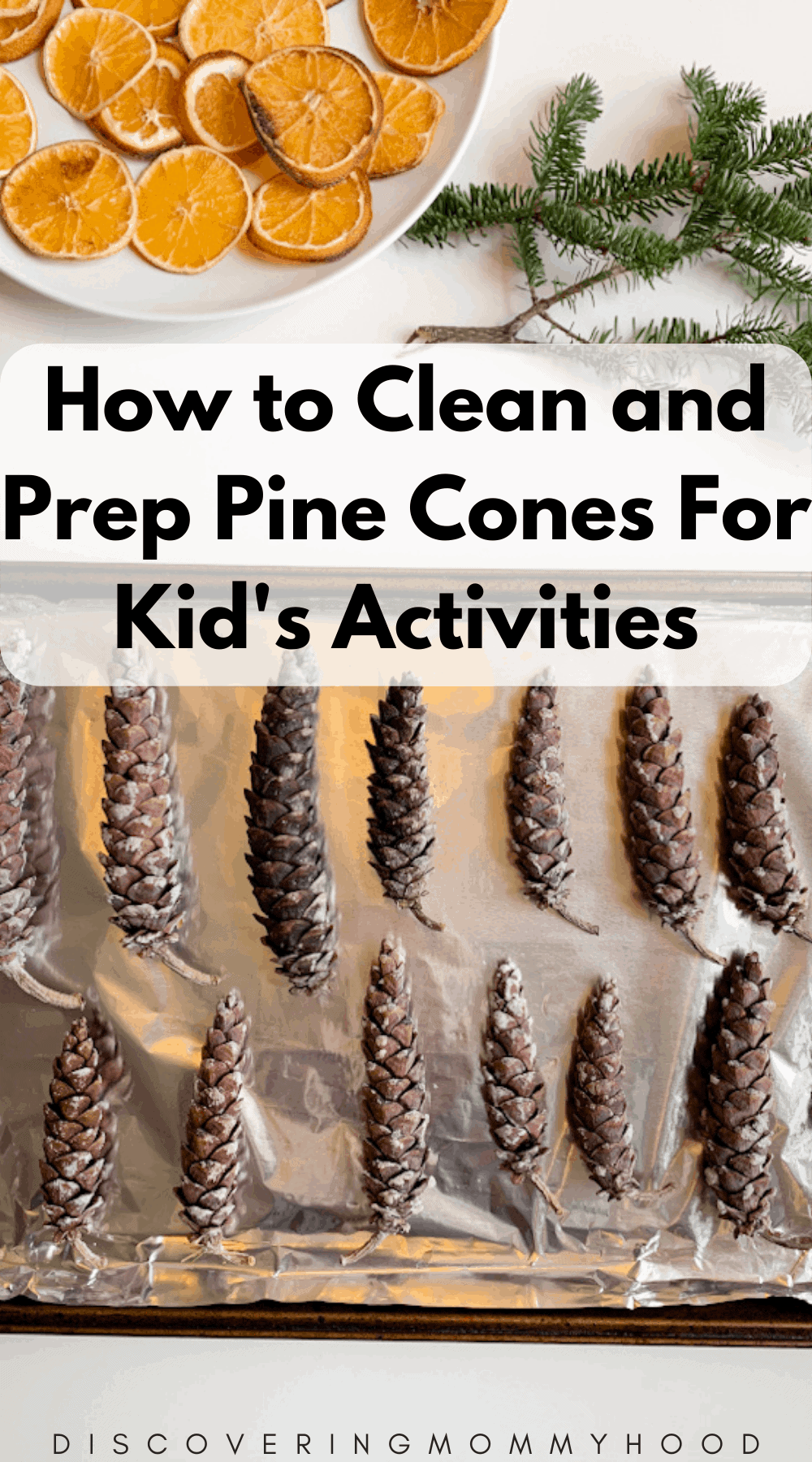 How to Prep and Clean Pine Cones - Discovering Mommyhood
