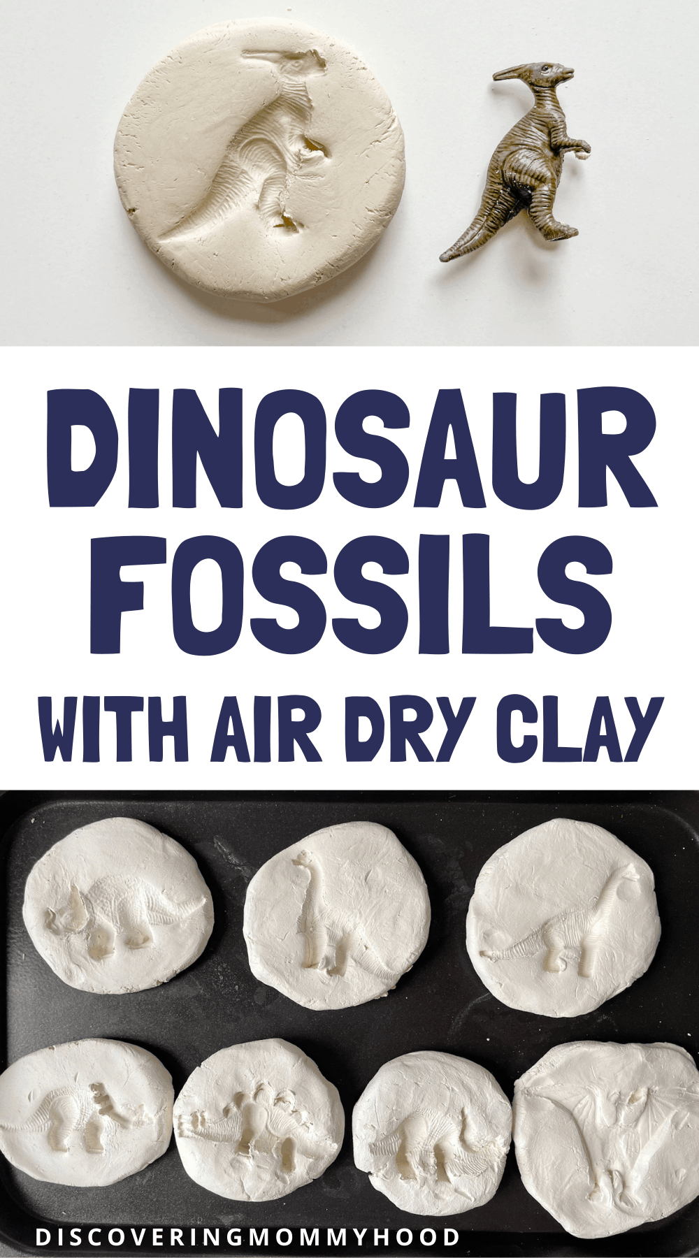 How to Make Dinosaur Fossils With Air Dry Clay - Discovering Mommyhood